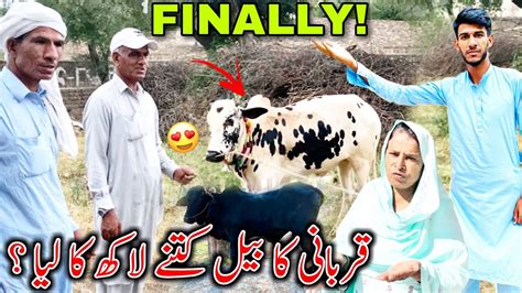 Finally Qurbani Ka Dand Lay Liya 😍 Kitny Lakh Ka Liya Name Kaya