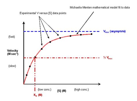 7 2 derivation of michaelis menten equation biology libretexts