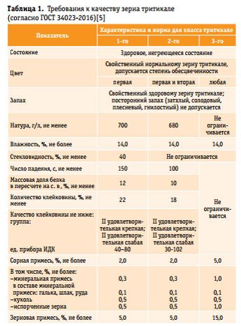 Мука из тритикале – ценный продукт питания