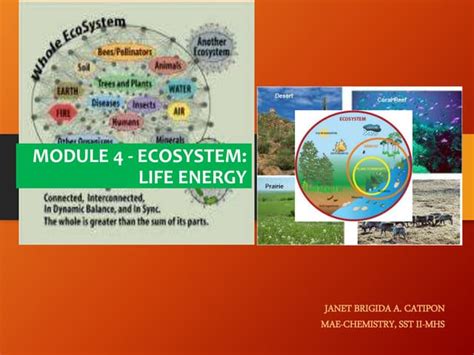 Module 4 Ecosystem Life Energy Pptx