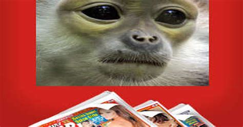 Primates At Risk Of Extinction Daily Star