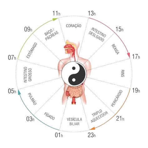 Os Cinco Elementos Na Medicina Tradicional Chinesa Anna Bedene Acupuntura