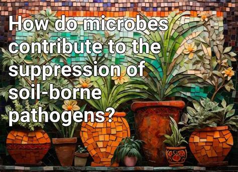 How Do Microbes Contribute To The Suppression Of Soil Borne Pathogens