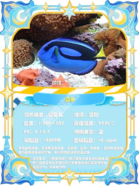 吊类鱼合集（上） 知乎