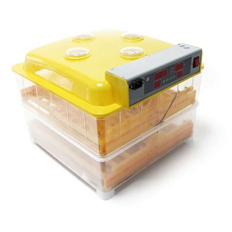 Incubateur Automatique Œufs