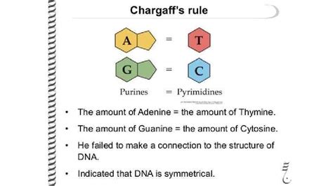 Chargaff Rules Success Criteria Can Apply