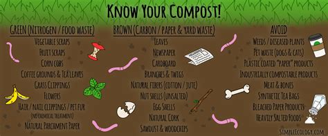 Composting 101 How To Start Your Own Bin Simple Ecology