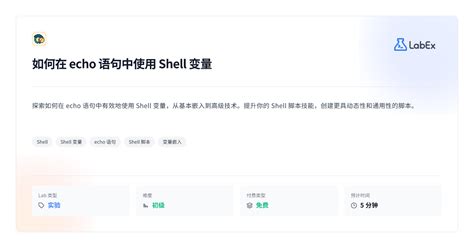 如何在 echo 语句中使用 shell 变量 labex