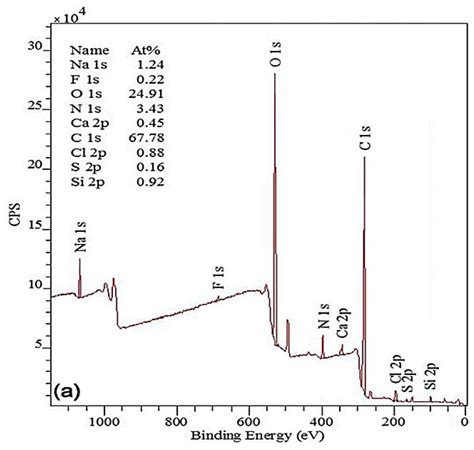 Development And Characterization Of Functional Polylactic Acidchitosan