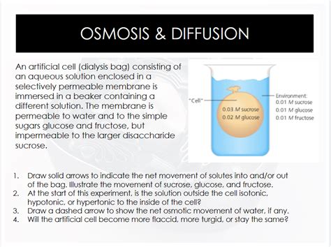 Solved Osmosis And Diffusionan Artificial Cell Dialysis Bag