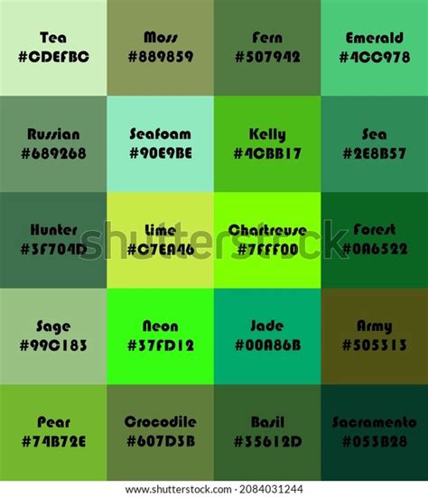 Paleta de colores verdes con nombres ilustración de stock 2084031244