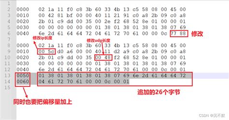 一种简单便捷的构造、修改 Pcap 数据包的方法 仅使用 Wiresharkwireshark修改数据包 Csdn博客