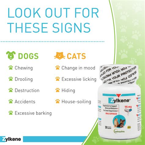 Vetoquinol Zylkene Calming Supplement 75 Mg For Dogs And Cats 10 22 Lbs