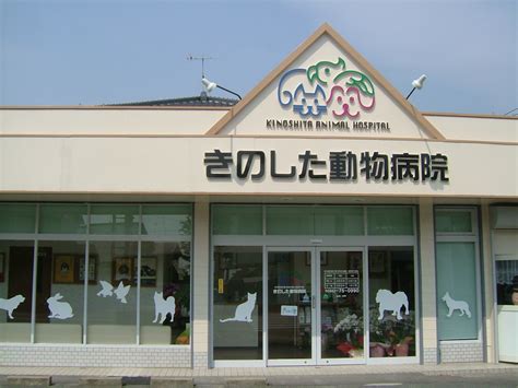 きのした動物病院｜福岡県小郡市三国が丘 アニコムどうぶつ病院検索
