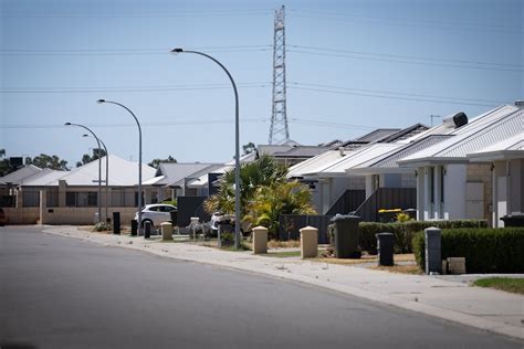 Perth Tree Conference Investigates Ways To Boost…