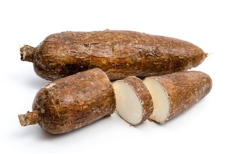 Arrowroot Facts And Health Benefits