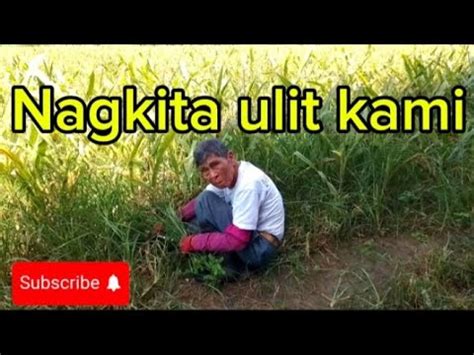 Nagkita Ulit Kami Ni Tatang YouTube