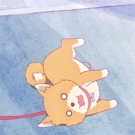 噫，更新后界面有一点不一样了 高清图片，堆糖，美图壁纸兴趣社区