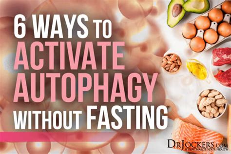 6 Ways To Activate Autophagy Without Fasting