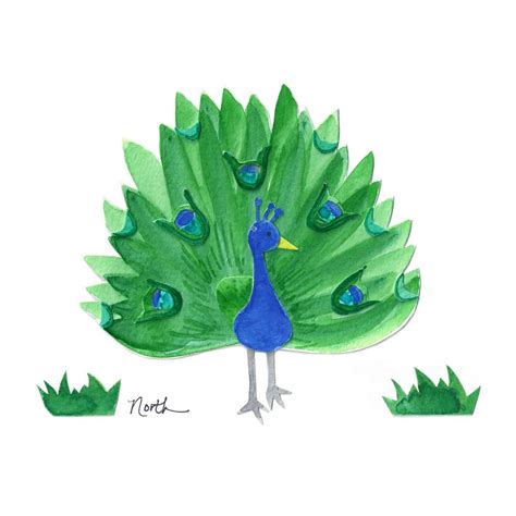 Peacock Print Applesprout Art