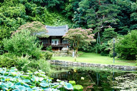 채화 이미지 찾아보기 125 스톡 사진 벡터 및 비디오 Adobe Stock