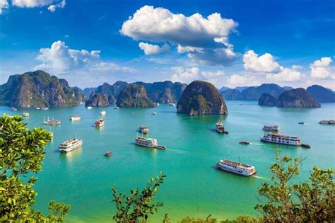 Đảo Ti Tốp Quảng Ninh TOP 5 trải nghiệm hấp dẫn nhất