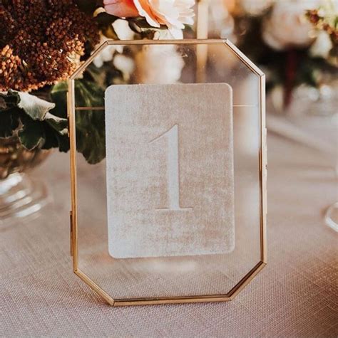 Velvet Table Numbers — Velvet Raptor Framed Table Numbers Gold Table