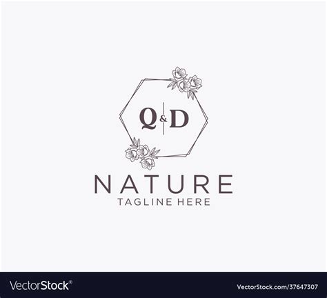 Initial Qd Letters Floral Frames Botanical Vector Image