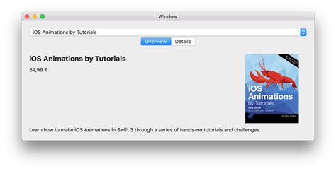 MacOS View Controllers Tutorial Kodeco