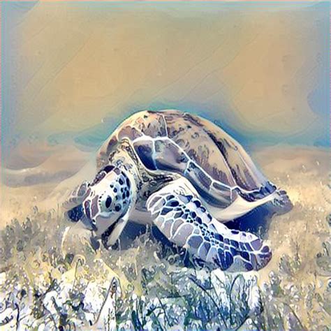 GitHub Xx Ashutosh XX Neural Style Transfer