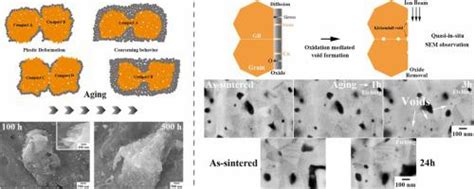 Corrosion Science X Mol