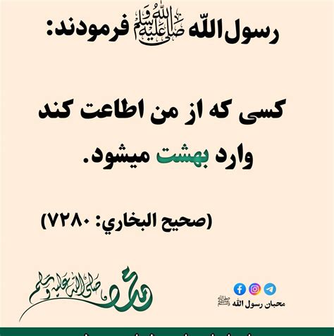 صفحه مارا فالو کنید ️‍🩹😊 ،بهترین عکس دنیا تاریخچه عکاسی ⭐️⭐️⭐️⭐️⭐️⭐️⭐