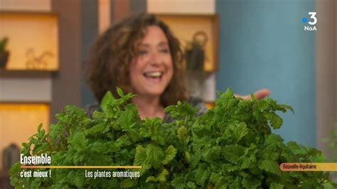 Cultivez Avec Nous Culture Facile Des Herbes