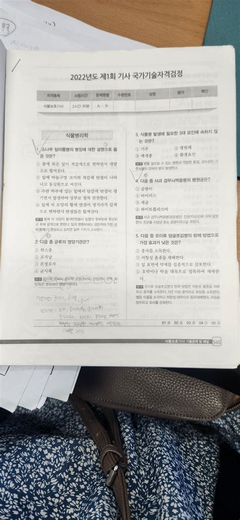 Daum 카페