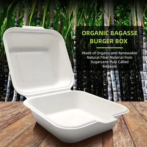 Sugarcane Biodegradable Pfas Free Clamshell Compostable Burger Takeout Food Containers