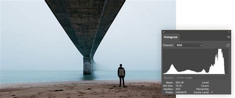 How To Read And Use A Camera Histogram Guide Free Photo Editing