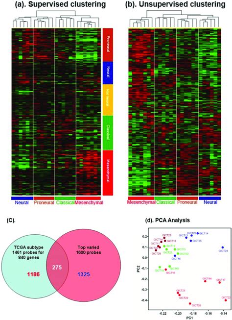 Ab Supervised Clustering The Cancer Genome Atlas Tcga 1461 Probe Download Scientific