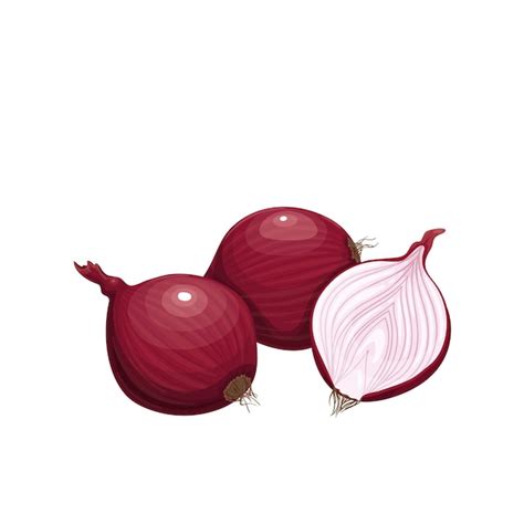 Media Cebolla Roja Entera Vector Premium