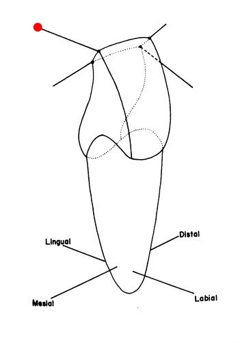 Point Angles And Line Angles Flashcards Quizlet