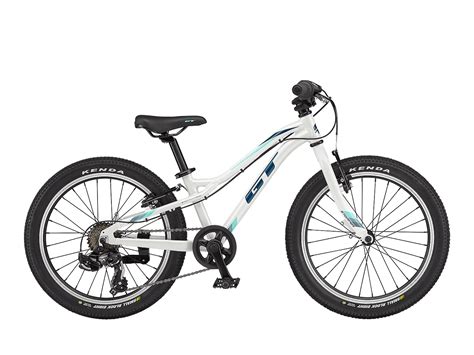 GT Stomper Ace 20 Hardtail Mountainbike 2021