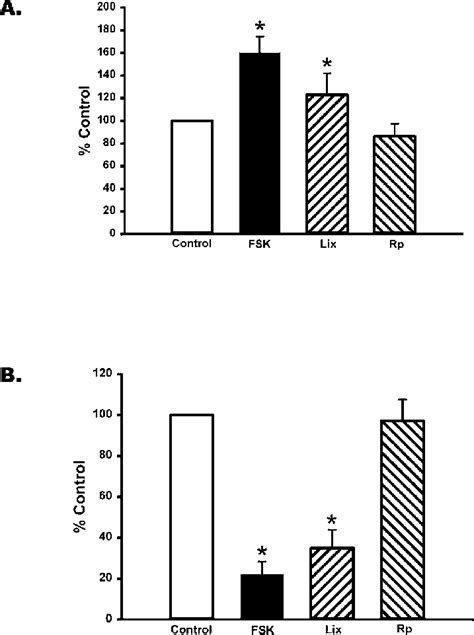 Pde3 Inhibitors Stimulate Mdck Cell Proliferation But Suppress Rat Mc Download Scientific