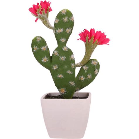 Cactus Con Flores Artificiales Tienda De Plantas Artificiales