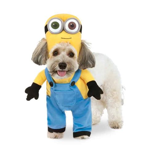 Xxl And Xxxl Dog Costumes Pet Costume Center