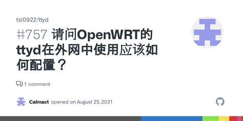 请问openwrt的ttyd在外网中使用应该如何配置？ · Issue 757 · Tsl0922ttyd · Github