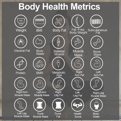 Unlocking Precision Health Probus Full Body Segmental Analysis And BMI Insights Digital