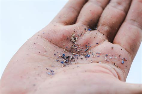 Microplastics Could Be Disrupting Sex Hormones Finds New Study Faculty Of Medicine