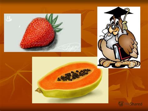 Презентация на тему Презентация к исследовательскому проекту «Наши друзья витамины для