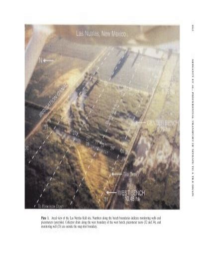 Preferential Transport Of Nitrate To A Tile Drain In An Pc Progress