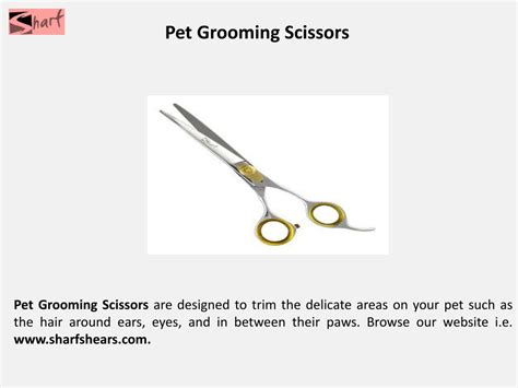 Ppt Pet Grooming Scissors Powerpoint Presentation Free Download Id
