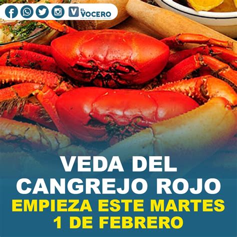 Veda Del Cangrejo Rojo Empieza Este Martes 1 De Febrero El Vocero